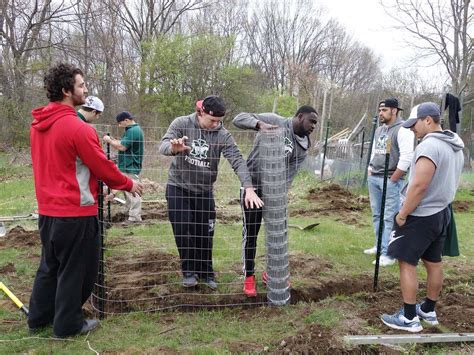Seedling Nursery Newton Tree Conservancy