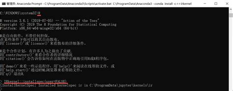 jupyter book 支持 r 做的还不够呀 喜欢苹果的梨