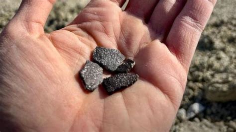 Utahs 100 Million Year Old Dinosaur Fossil Reveals 6 Eggshell Types