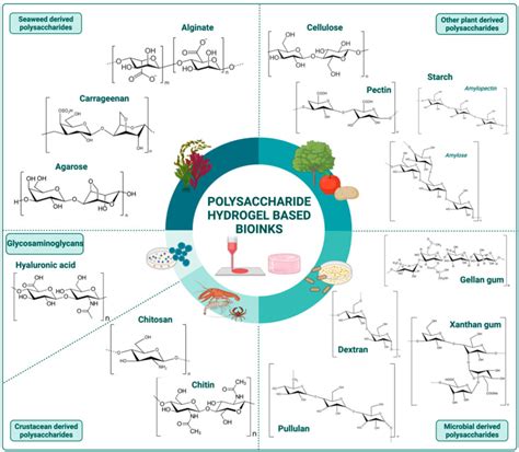 A Guide To Polysaccharide Based Hydrogel Bioinks For 3d Bioprinting Applications Pmc
