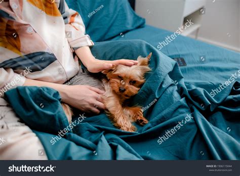 Womand Dog 15 Images Photos Et Images Vectorielles De Stock