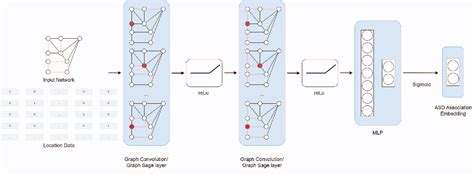 Figure From Autism Risk Classification Using Graph Neural Networks Applied To Gene Interaction