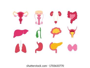 Internal Sex Images Stock Photos Vectors Shutterstock