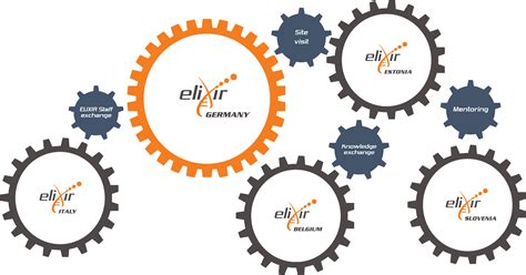 Creating Impact Through Knowledge Exchange In ELIXIR ELIXIR