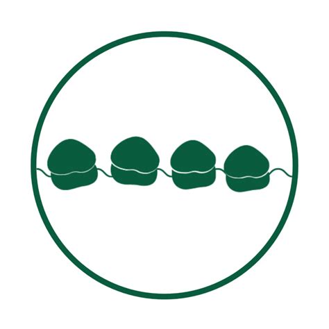 Polysome Profiling Eirna Bio