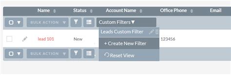 Custom Filter Suitecrm Module