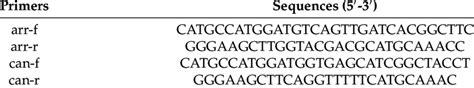 Primers Used To Construct Plasmids Download Scientific Diagram