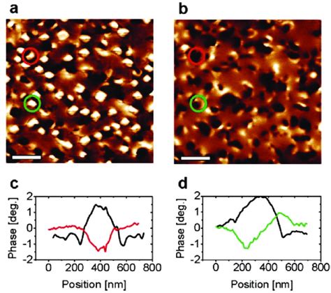 Voltage Driven Magnetization Reversal In Sub Micron Nanopillars Of