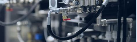 Bspt Vs Bspp Threads Everything You Need To Know