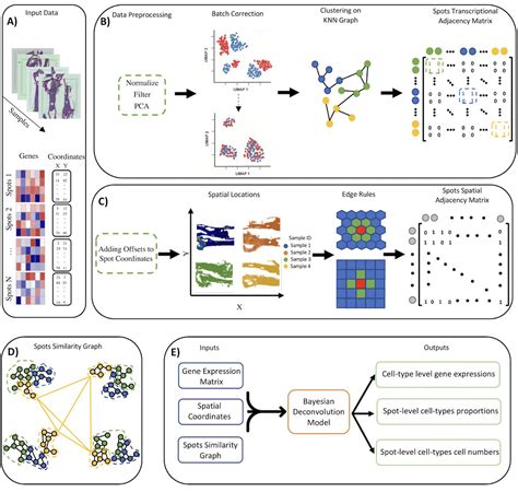 Alfonso Saera Vila On Linkedin Spatialtranscriptomics Bioinformatics