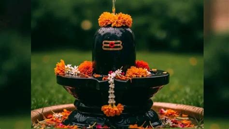 संभल में 46 साल बाद खोला गया शिव मंदिर शिवरात्रि पर होगा महाभिषेक ॐ नमः शिवाय के नारों की गूंज
