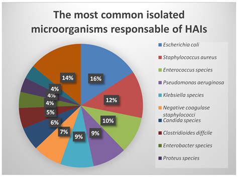 Examples Of Nosocomial Infection And Their Impact