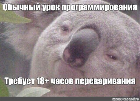 Meme Обычный урок программирования Требует 18 часов переваривания All Templates Meme