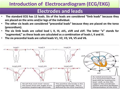 Fundamentals Of Ecg Introduction Ppsx