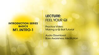 M Intro Feel Your Qi