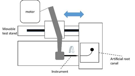 Schematic Drawing Showing The Cyclic Fatigue Tester Used In The Experiment Download