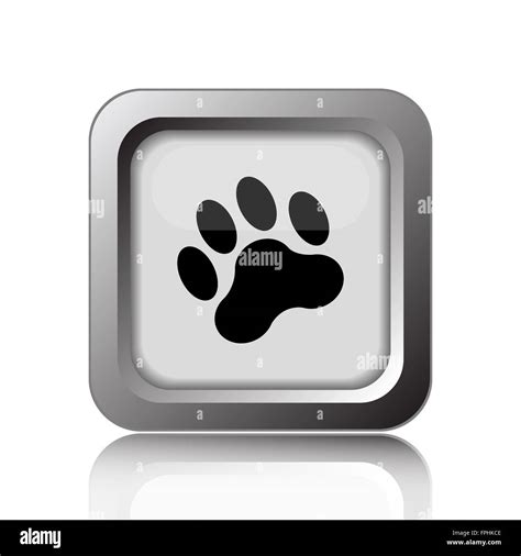 Paw Print Icon Internet Button On White Background Stock Photo Alamy