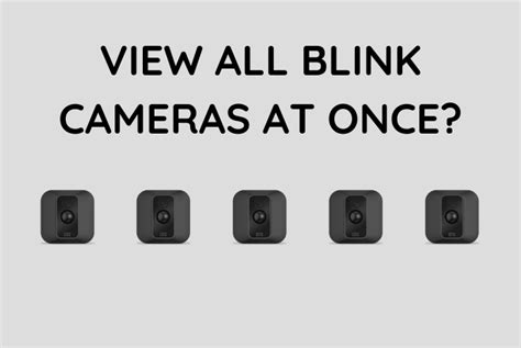 Can You View All Blink Cameras At Once Yes Or No Blinqblinq