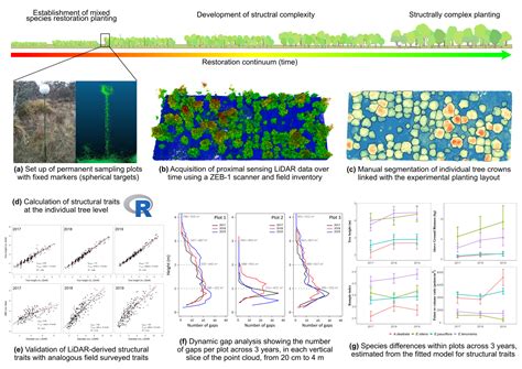 Remote Sensing Free Full Text Handheld Laser Scanning Detects Spatiotemporal Differences In