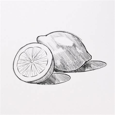 Zitrone Zeichnen Komplett Oder Geteilt Schritt Für Schritt 🍋