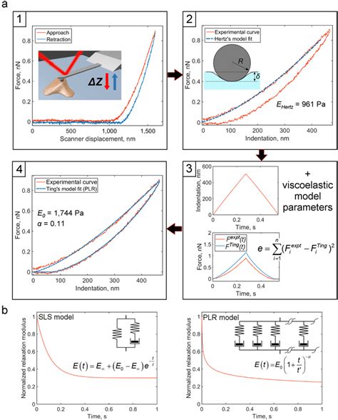 Flowchart Of The Method And Used Viscoelastic Models A The