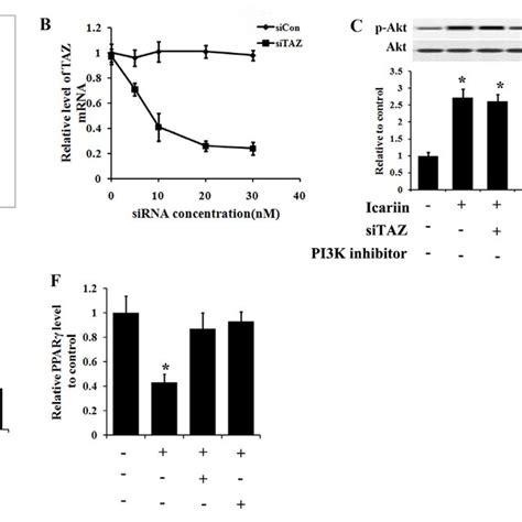 Rt Pcr Analysis Of Osteogenic Related Genes Expression Of Osteogenic