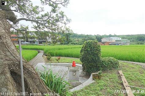 苗栗銅鑼｜200年歷史田心伯公，龍貓土地公，自然田園風光 輕旅行