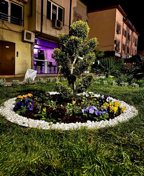 Озеленяване на бизнес сгради в София Озеленяване в София