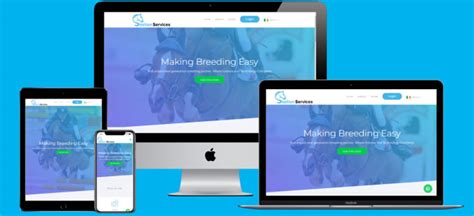 Build Web App Using Laravel Livewire Alpine Inertia Vuejs Tailwind Saas