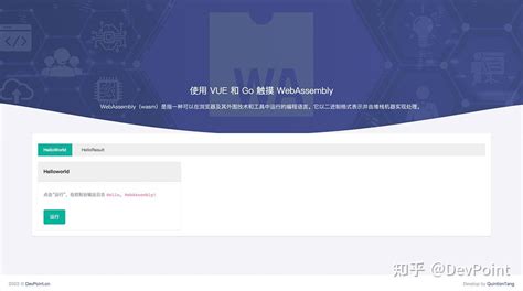 使用 Vue 和 Go 触摸 Webassembly 知乎