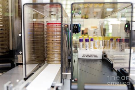 Walk Away Specimen Processor Photograph By Daniela Beckmann Science