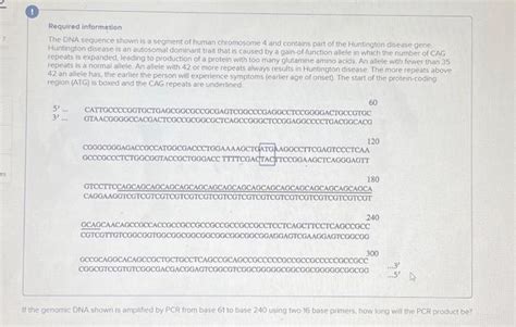 Solved Required Information The DNA Sequence Shown Is A Chegg