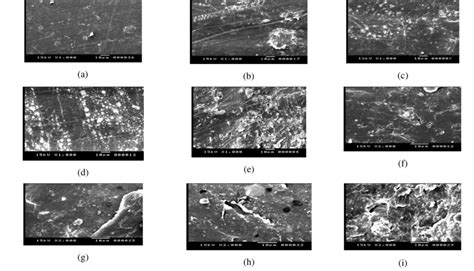 Sem Micrographs Of The Al2o3 Ldpe Composite Samples A Pure Ldpe