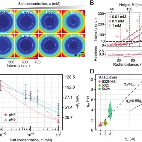 Spatiotemporal Imaging Of Electrical Charge Modulation On A Chemically