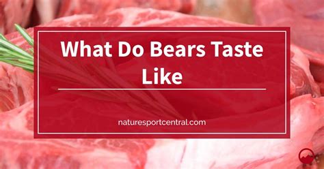 What Do Bears Taste Like