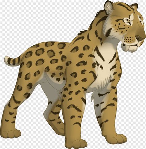 Shira Saber Tooth Tiger