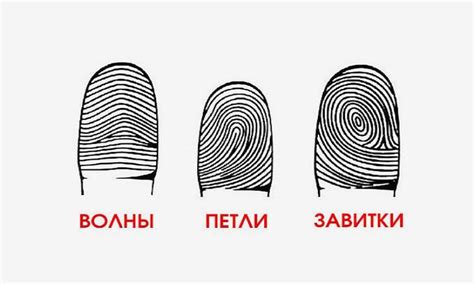 Посмотри на свои отпечатки пальцев: А вдруг ты гений ? | Пальцы ...