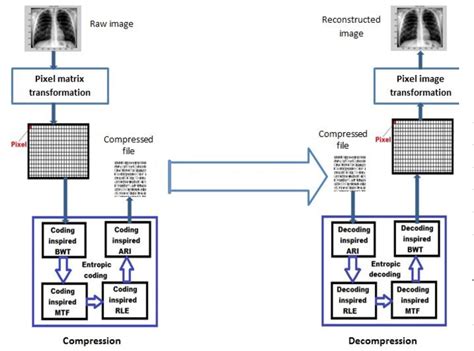 Architecture Of Our Medicompress Approach Download Scientific Diagram