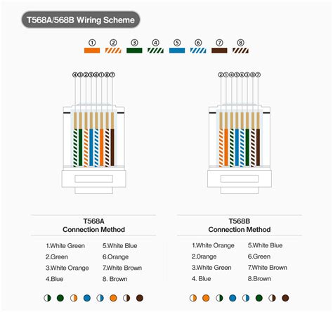 AMPCOM CAT6 RJ45 Connectors RJ45 Modular Plug Connector UTP 50μ Gold Plated Two Pieces 8P8C