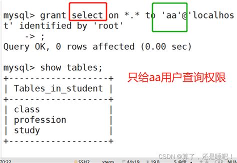 MySQL数据库之用户管理 mysql的用户在哪里 CSDN博客