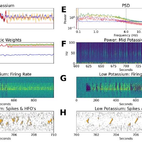 Effect Of Extracellular Potassium Concentration On Network Dynamics