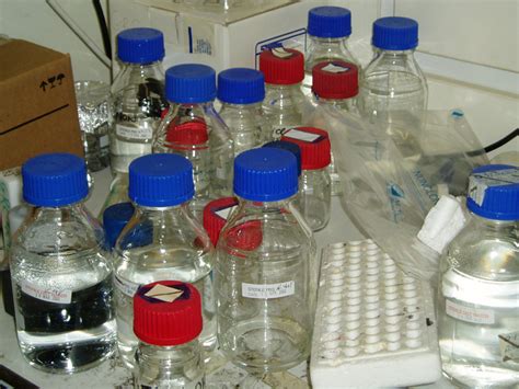 Stanza Dna Lab May DNA Sequencing Of Stanza Blood To Create Dna Sequences Base Codes