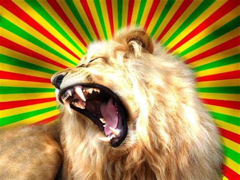 Lion Of Judah Rasta Wallpapers Wallpaper Cave