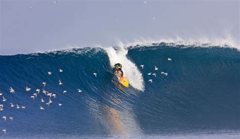 A Collection From Patrick Tupat Eichstaedt The Inertia