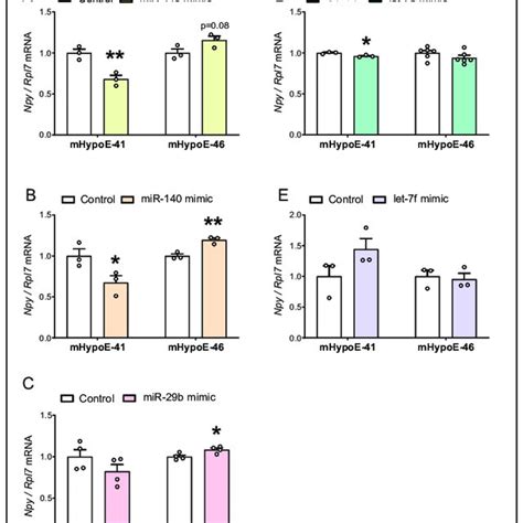 Altered Npy Mrna Levels By Overexpression Of Putative Npy Targeting Download Scientific Diagram