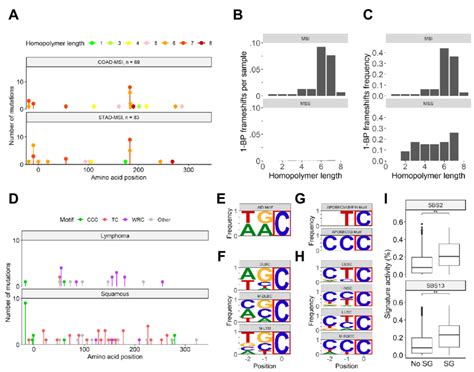 distinct mutational processes shape cancer type specific mhc
