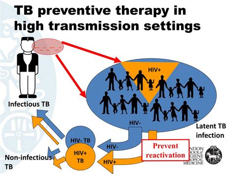 Ppt Tb Prevention New Data New Approaches New Challenges Powerpoint Presentation Id
