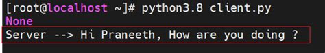 Tls13 Data Communication Bw Client And Server Using Python Sockets