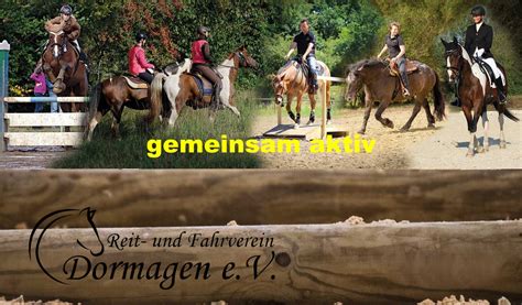 Karin Deutschmann Ganzheitliche Pferdetherapie Weiter Geht Es In