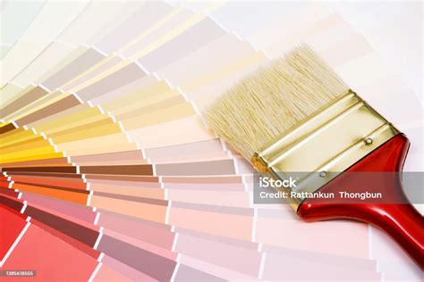 화가가 집 벽 의 내부에 페인트 그늘을 선택하고 있습니다 인테리어 0명에 대한 스톡 사진 및 기타 이미지 0명 Diy 개선 Istock